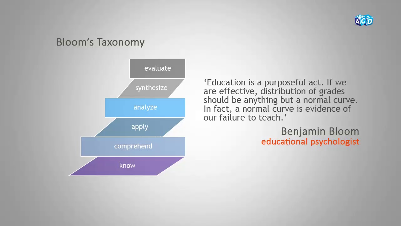 assess the situation - YouTube