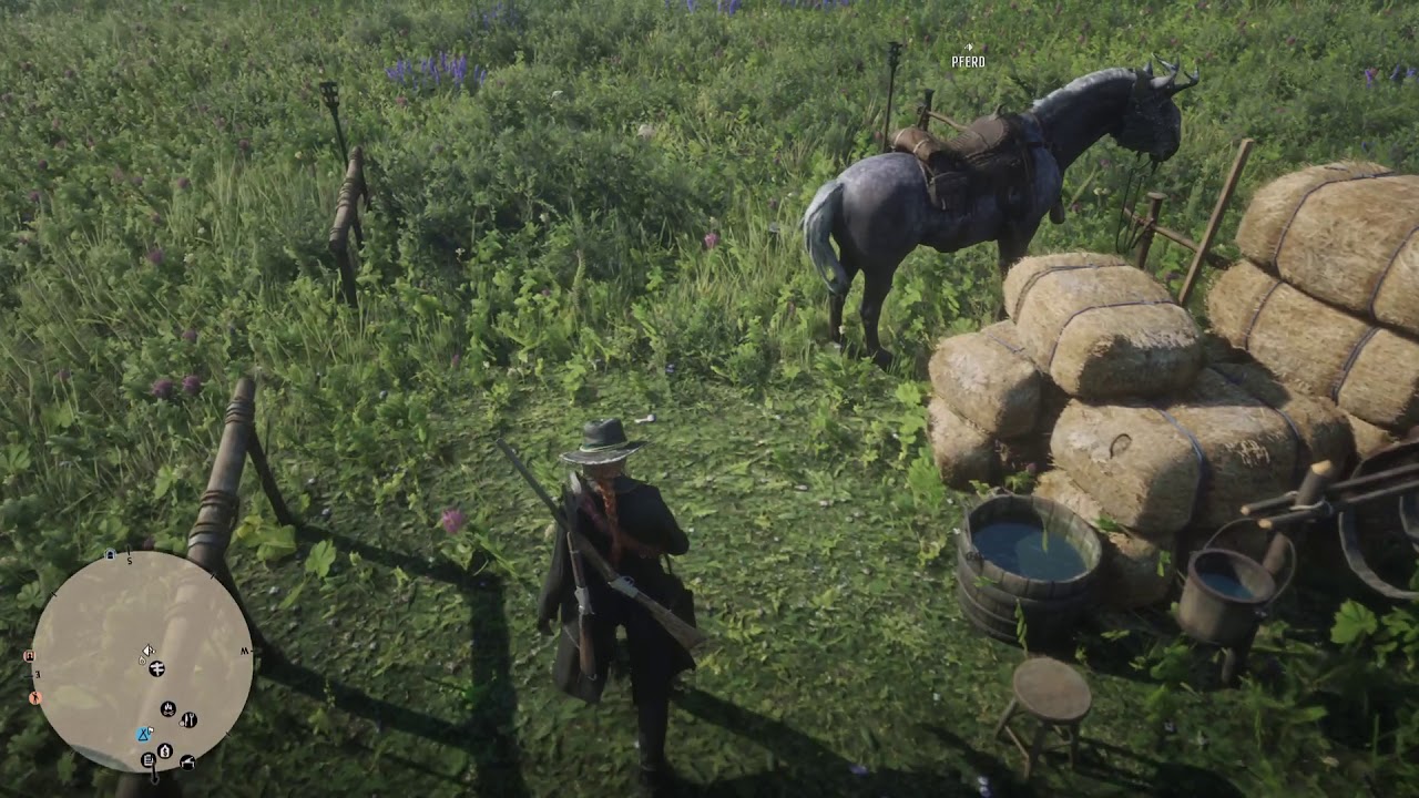 Red Dead Redemption 2 PS5 Grass rendering issue - YouTube