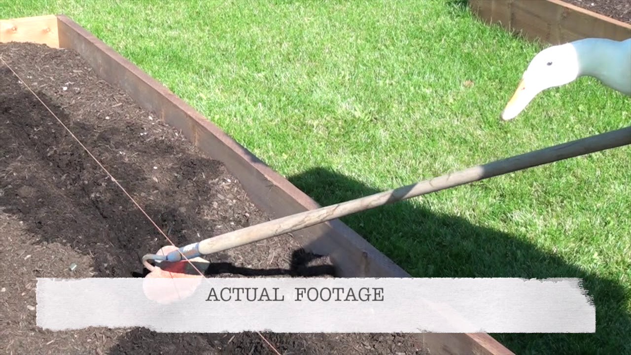 Archer Plants a Garden - YouTube