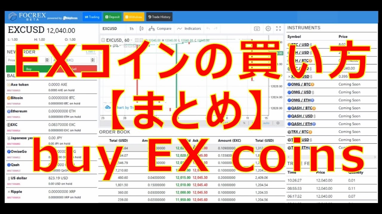 EXコインの買い方【方法手順まとめ】～How to buy EX coins～ - YouTube