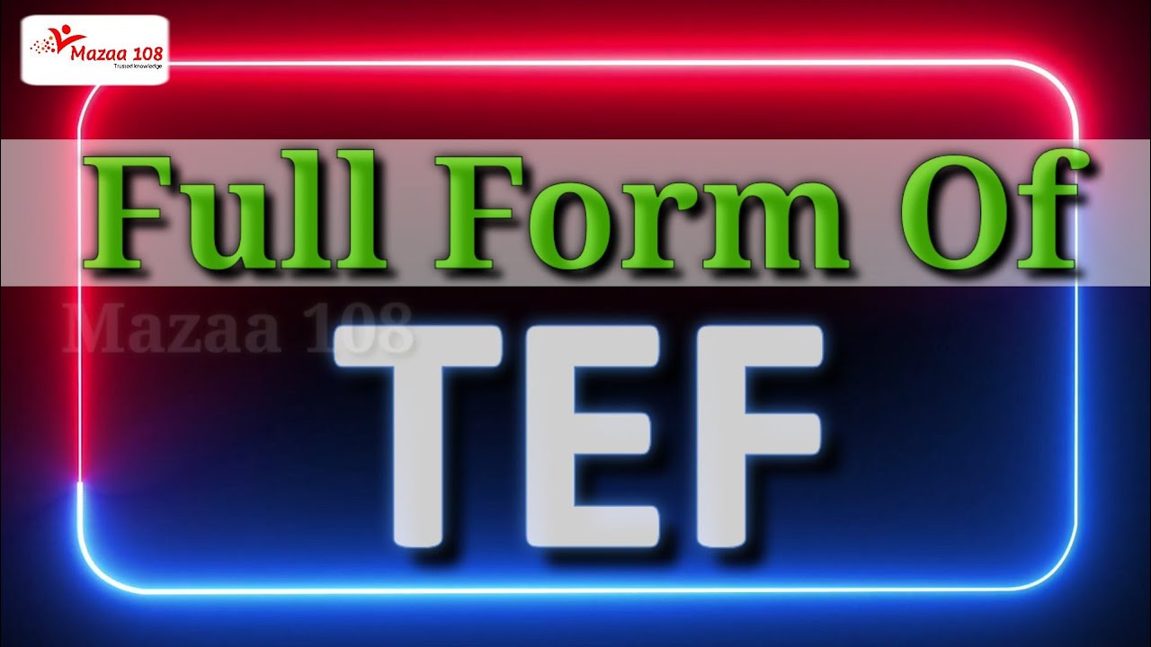 Full form of TEF | TEF full form | TEF Stands for | tef Means | TEF | # ...