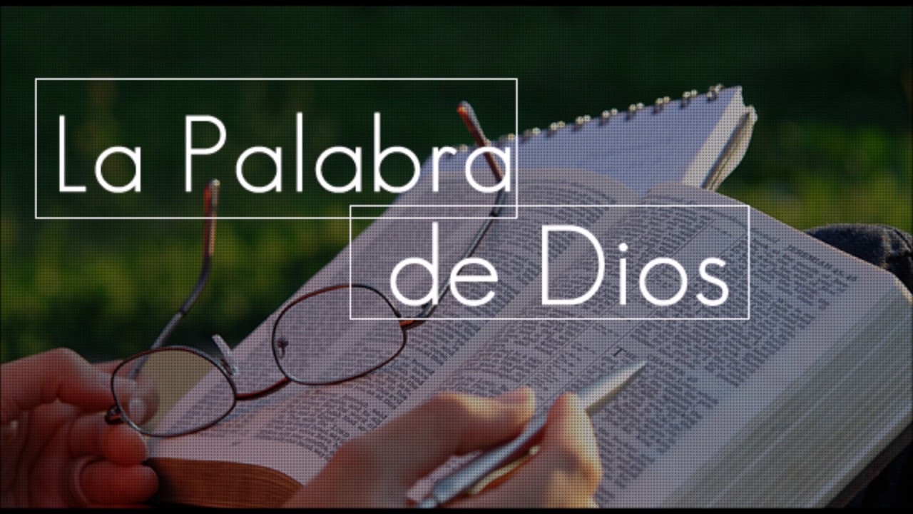 Tu Palabra Autor: Luis Loarca - YouTube