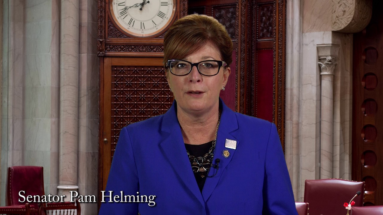 Senator Helming Budget Statement - 04/03/17 - YouTube