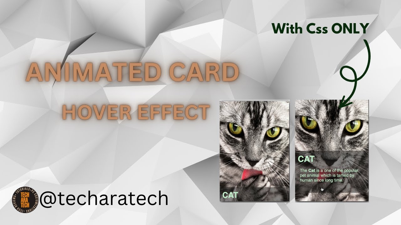 Animated Card Hover Effect Html And Css Techaratech Youtube