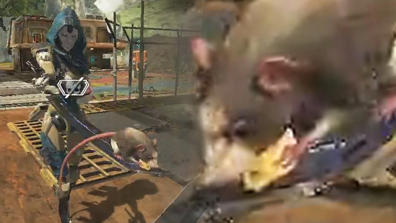 ASH RAT EMOTE, best emote | Apex Legends (Season 11) - YouTube