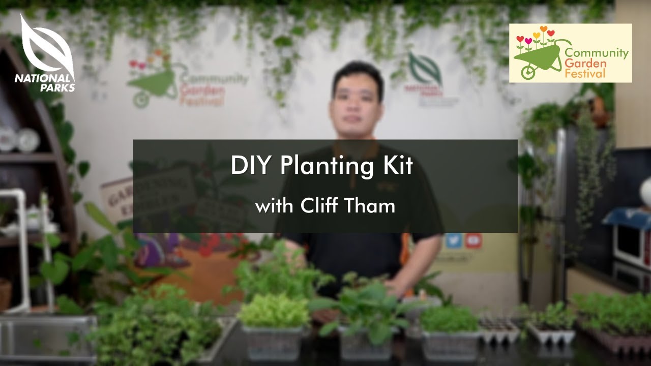 DIY Planting Kit | Community Garden Festival 2020 - YouTube