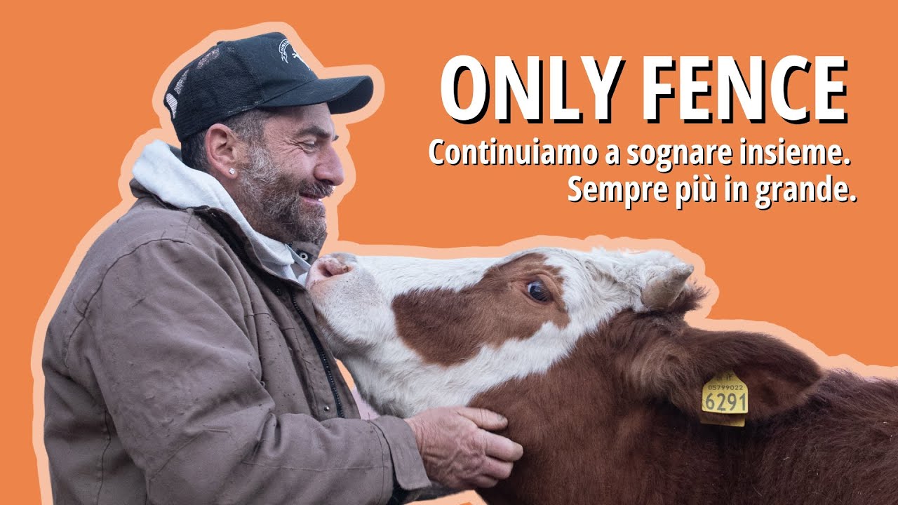 Only Fence. Continuiamo a sognare insieme. Sempre più in grande - YouTube