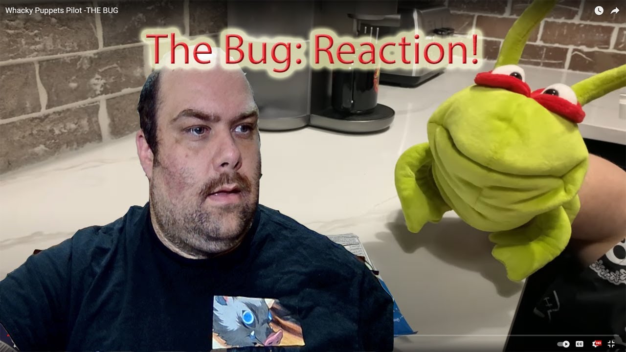 The Bug reaction - YouTube