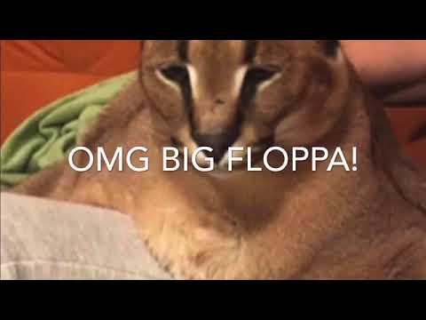 Big floppa cat song - YouTube