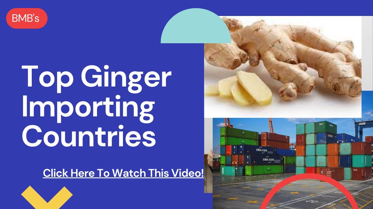 Top Ginger Importing Countries 2021 - YouTube