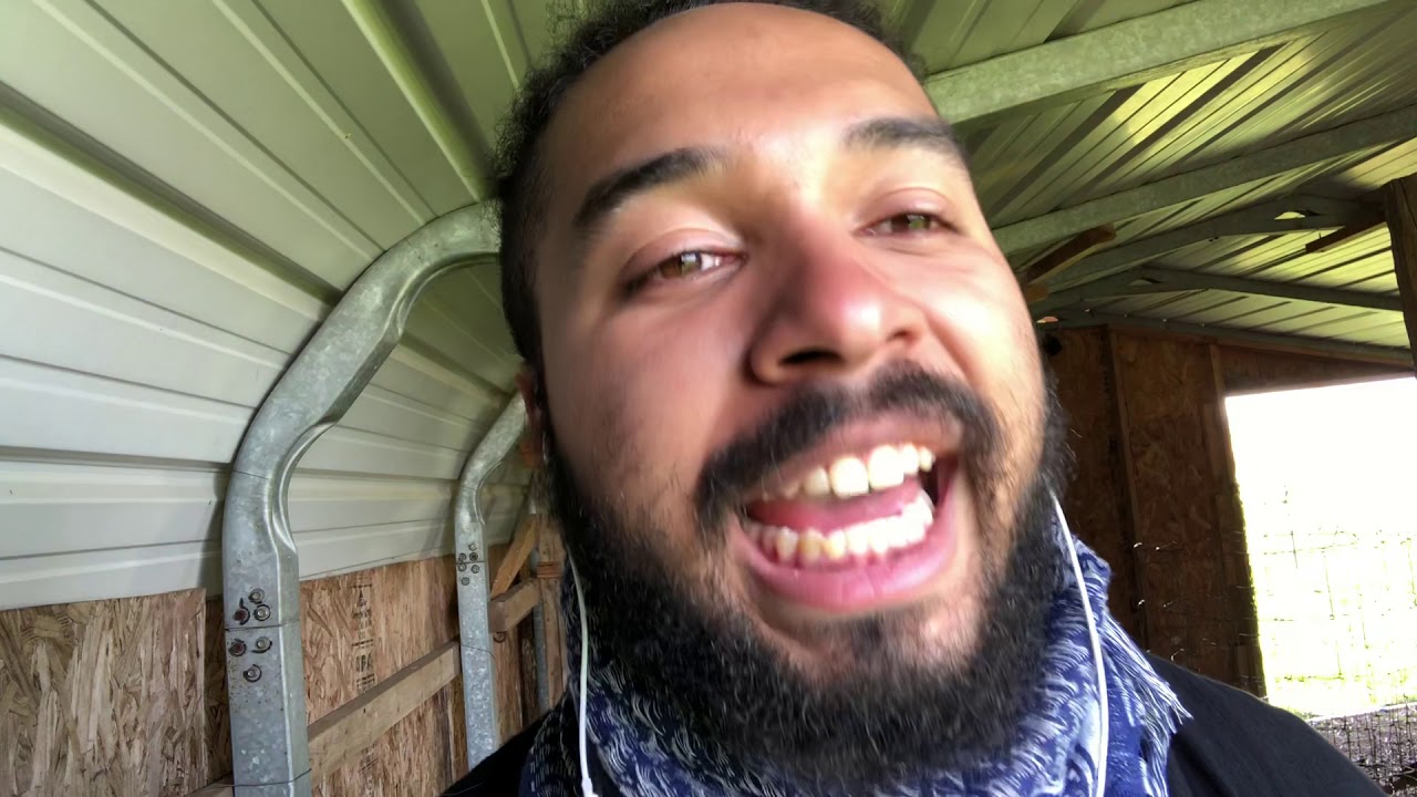 2-A-Day Bible Series: Day 13: Genesis 28 & 29 - YouTube