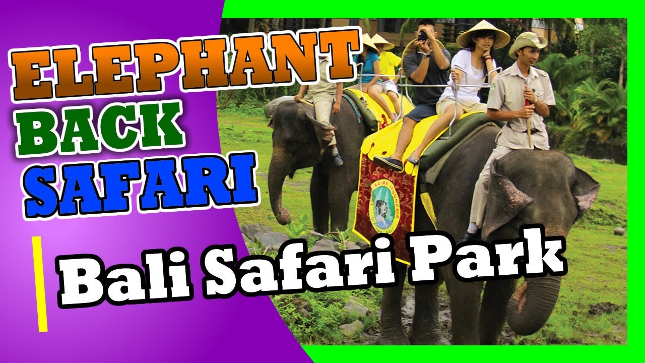 🧔 ELEPHANT BACK SAFARI 🐘 AT BALI SAFARI PARK (MEMORABLE EXPERIENCE ...
