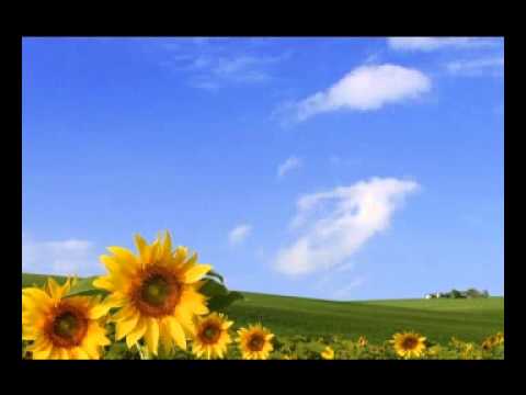 Solidarity (Mond Cowie) .wmv - YouTube