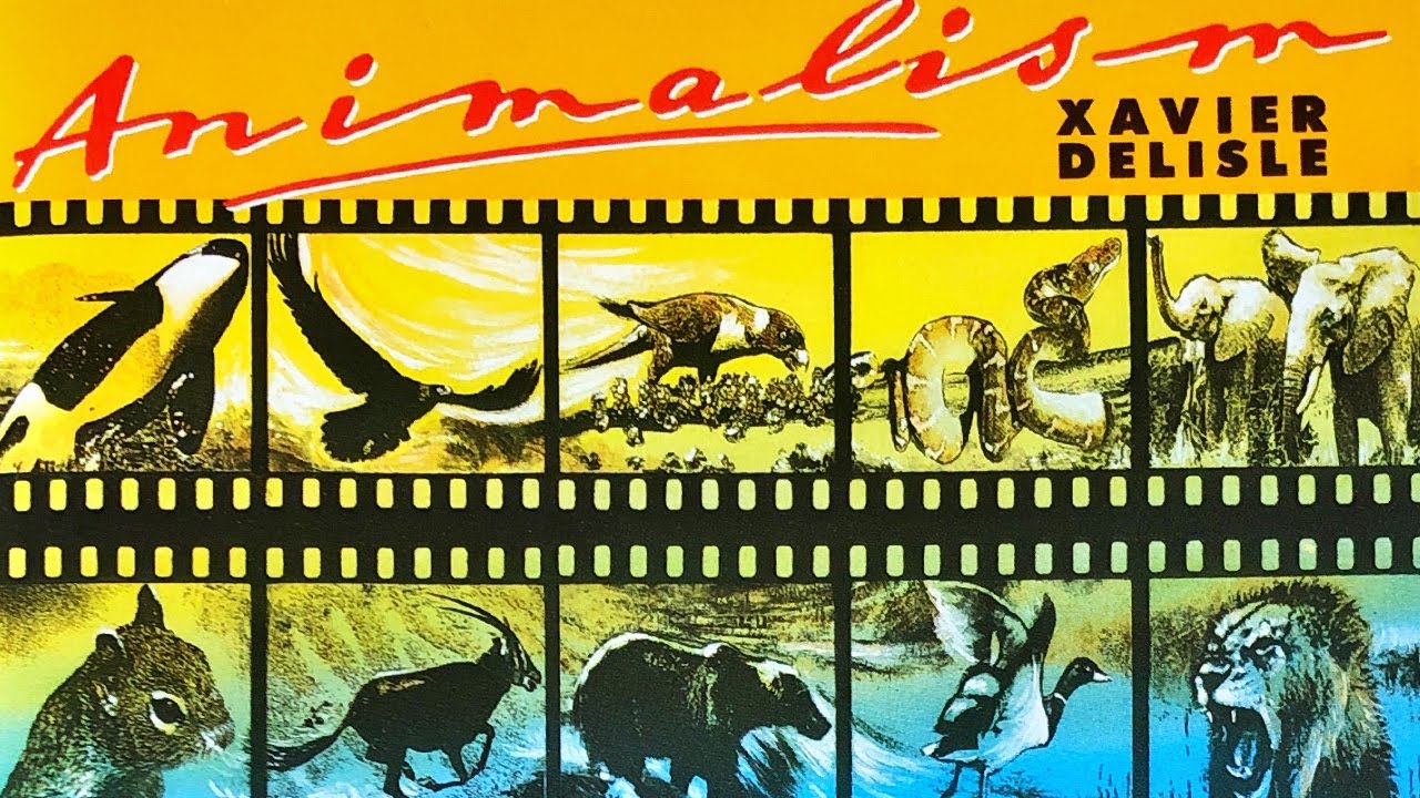Xavier Delisle - Camel Walk - YouTube