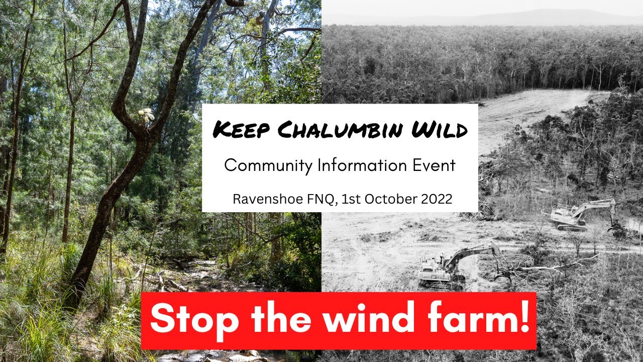 Keep Chalumbin Wild: Ravenshoe Community Information Event, 1st Oct ...