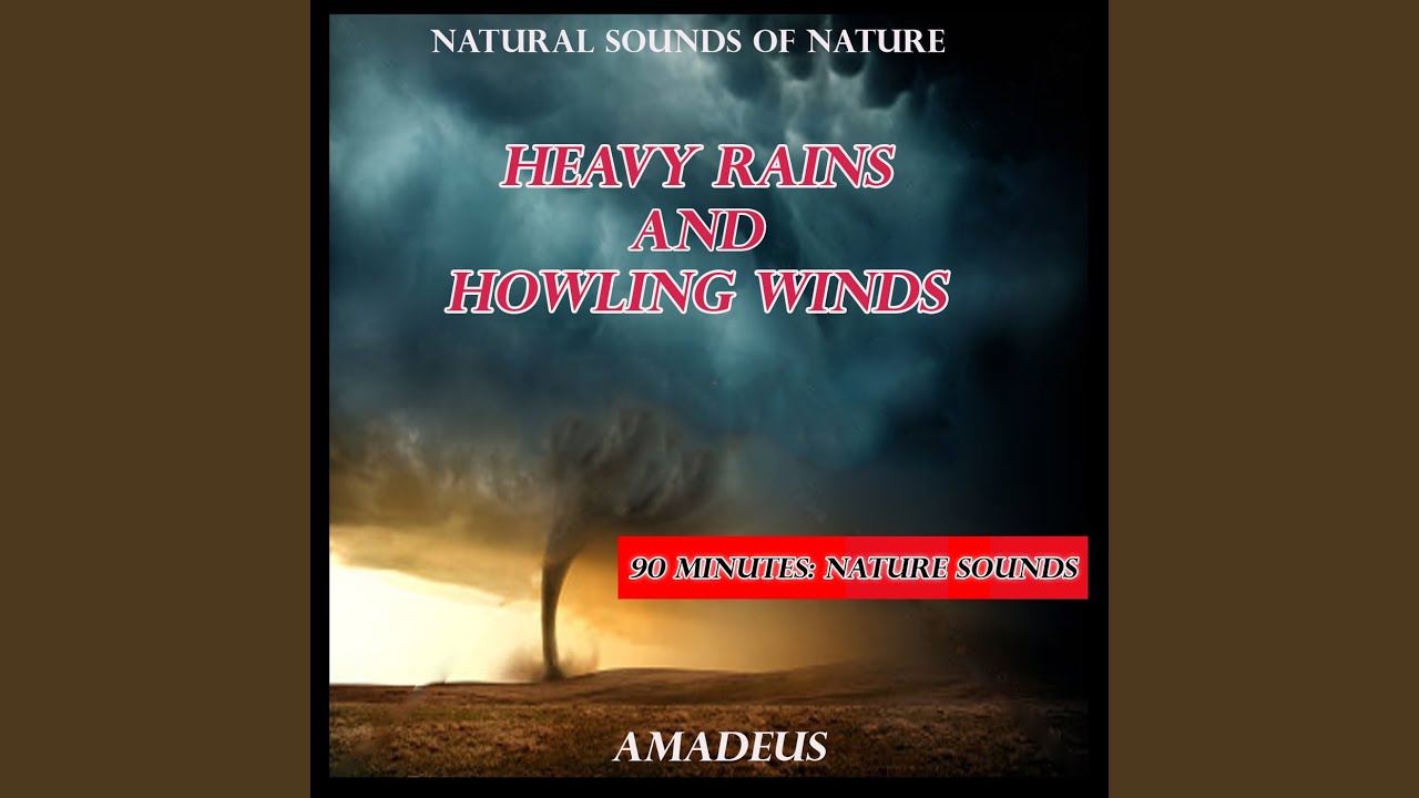 Heavy Rains and Howling Winds (Natural Sounds of Nature) - YouTube