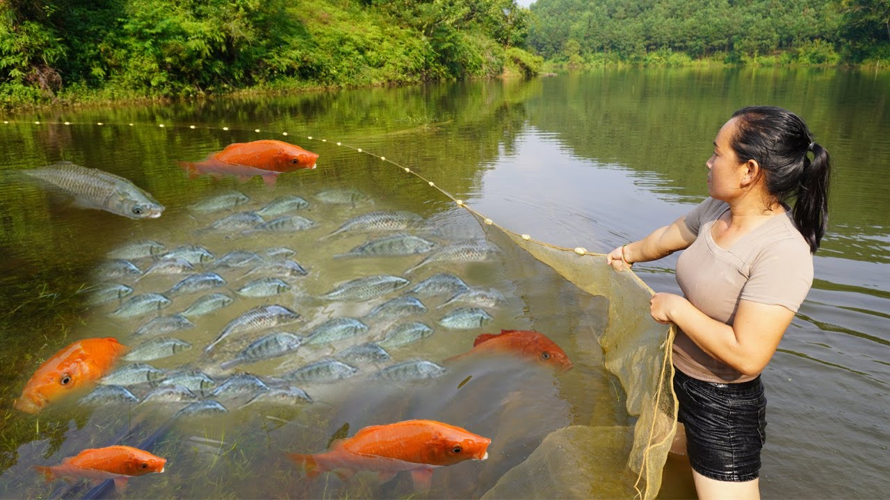 Full video: 60 Days farm construction and Harvest a lot of fish ...