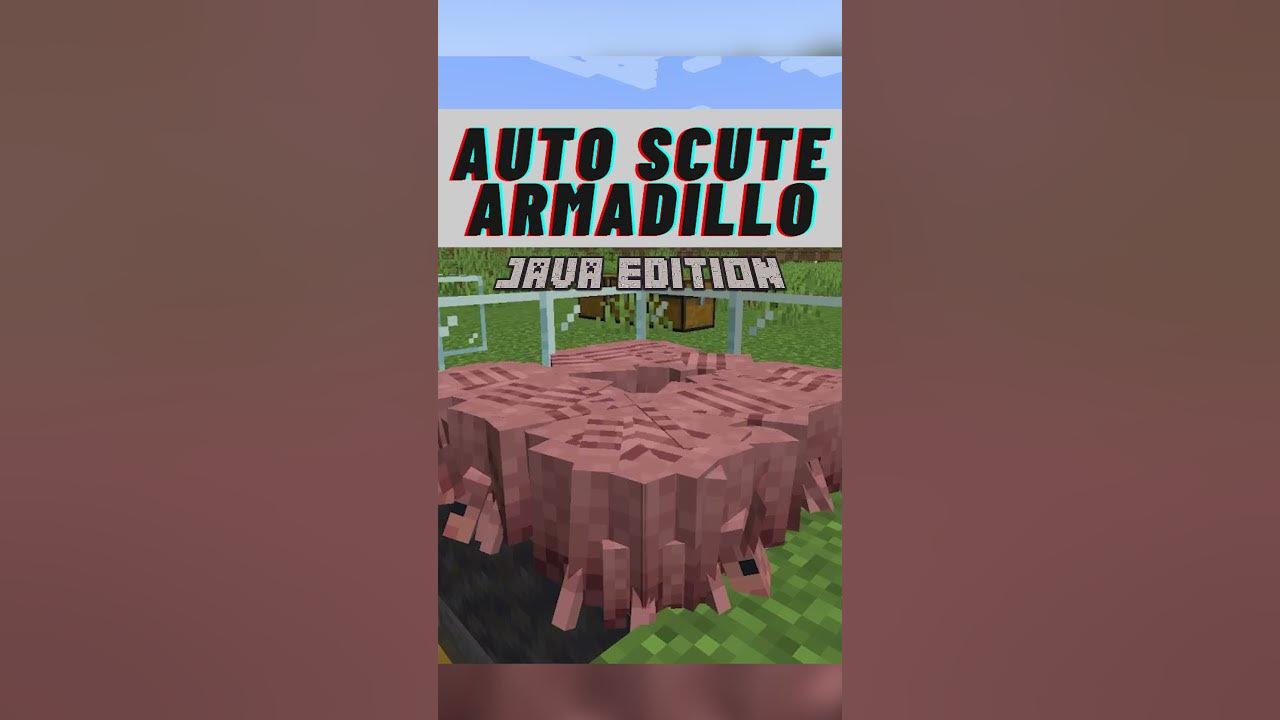 Minecraft 3 Automatic Armadillo Scute Farms Tutorial [Java 1.21+] # ...