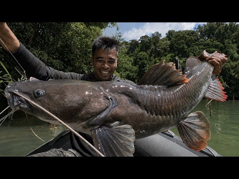 Sống Trong Rừng Già Săn Cá Khổng Lồ | Deep Jungle Survival – Hunting Giant Fish 🔥