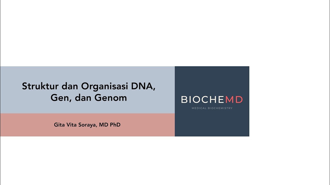 Struktur dan Organisasi DNA Gen dan Genom [Bahasa] - YouTube