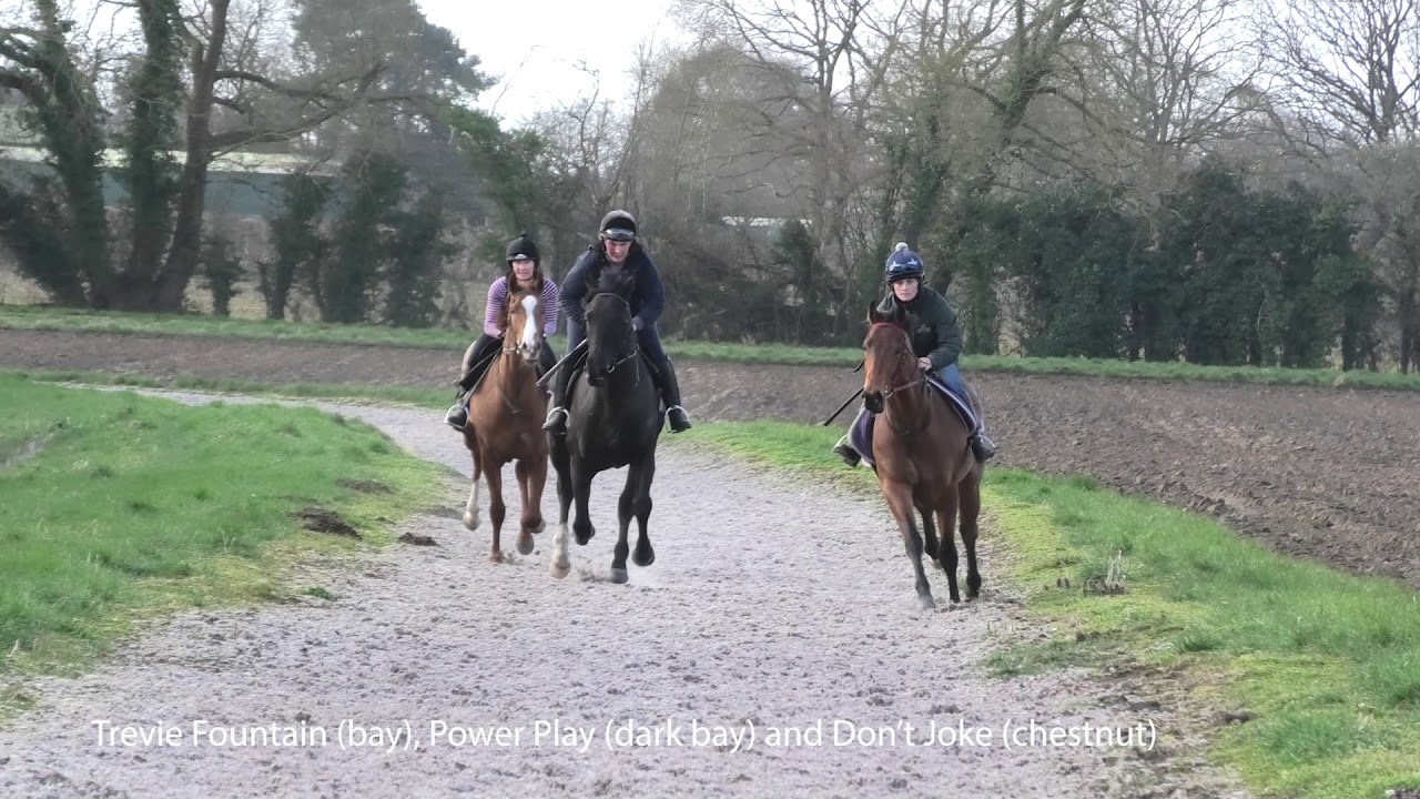 Grange Park Racing/Ruth Carr trained horses. - YouTube