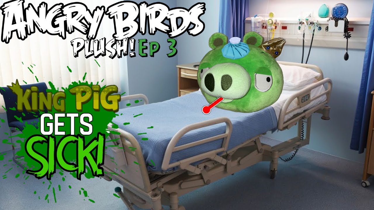 Angry Birds Plush Episode 3 | King Pig gets SICK! - YouTube