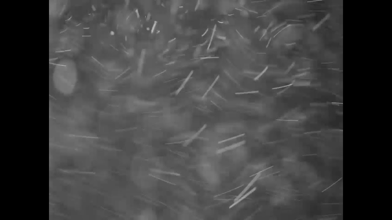 DUST PARTICLE OVERLAY BLACK GREEN SCREEN Effect 1080P FREE FILM STOCK ...