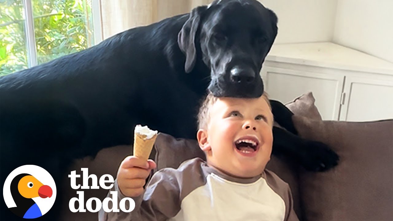 Unbreakable Bonds: Kids and Pets Growing Up Side by Side | The Dodo ...