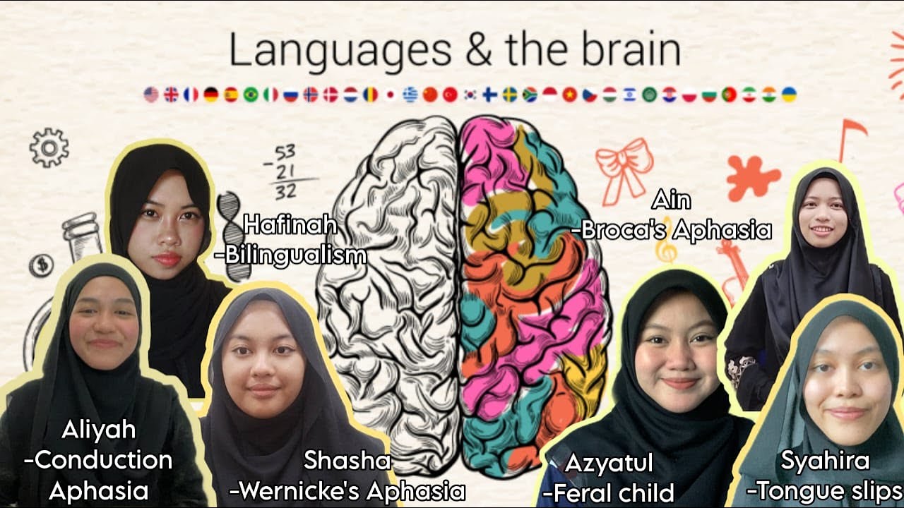 Language And the Brain | Six Different Concepts | Section 731 | HSE0354 ...