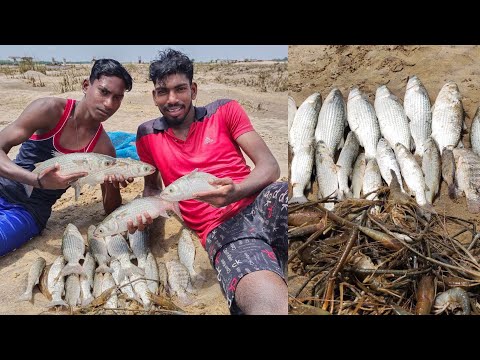 top 5 amazing video fishing | amazing hand fishing | 2022 new fishing video | tamil nadu fishing