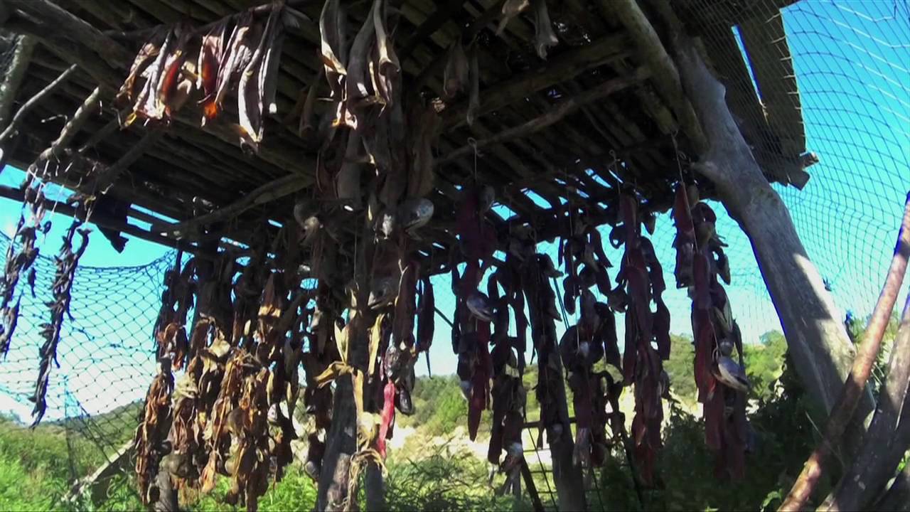 Fish Drying Rack - YouTube