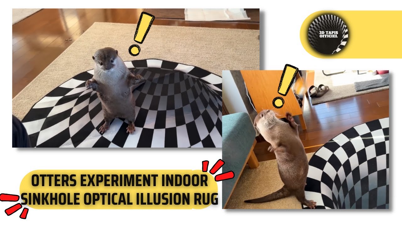 They experiment Optical Illusions Indoor Sinkhole - best indoor sinkhole prank #IndoorSinkhole # ...