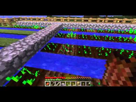 minecraft : champs de blé épisode 2 - YouTube