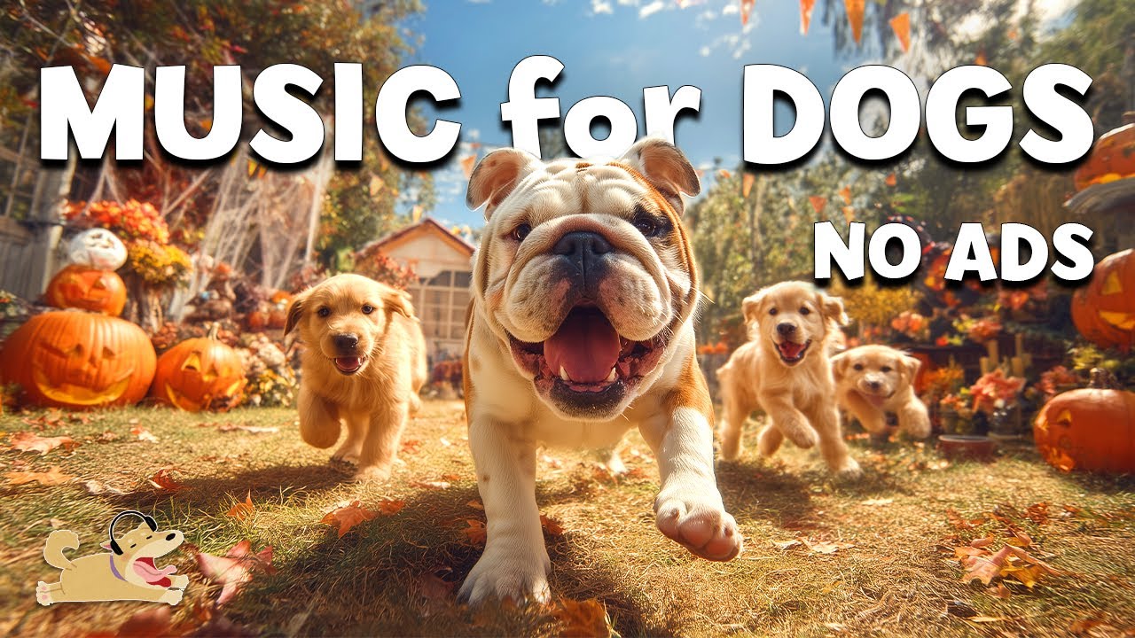 DOG TV: Best Videos for Dogs to Watch When Home Alone-Anti-Stress ...