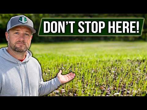 Your Grass Germinated… Now Comes the Important Part