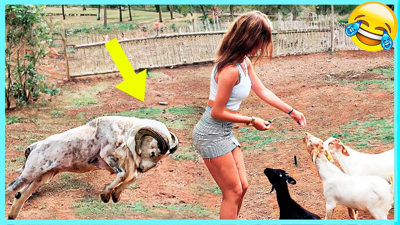 Funny Fails Video Compilation 🤣 Pranks - Amazing Stunts #16 - YouTube
