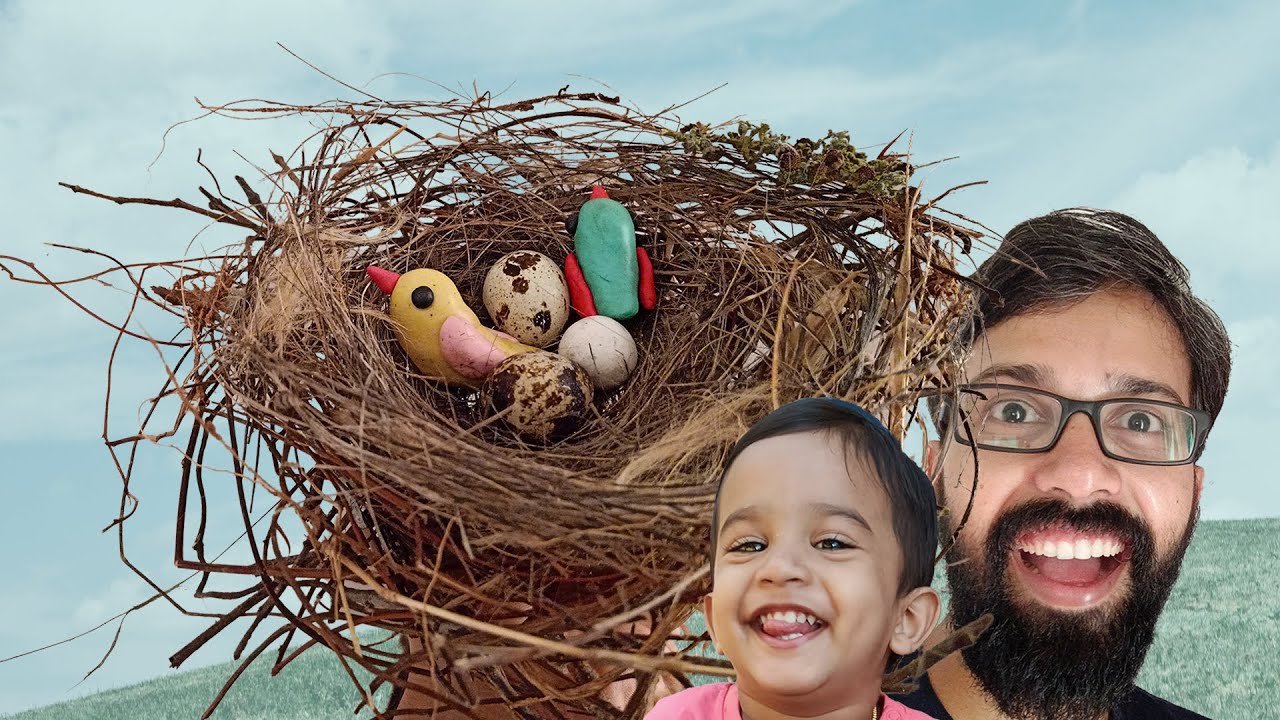 Bird Nest Making with waste materials | DIY Birds Home | Garden Decor ...