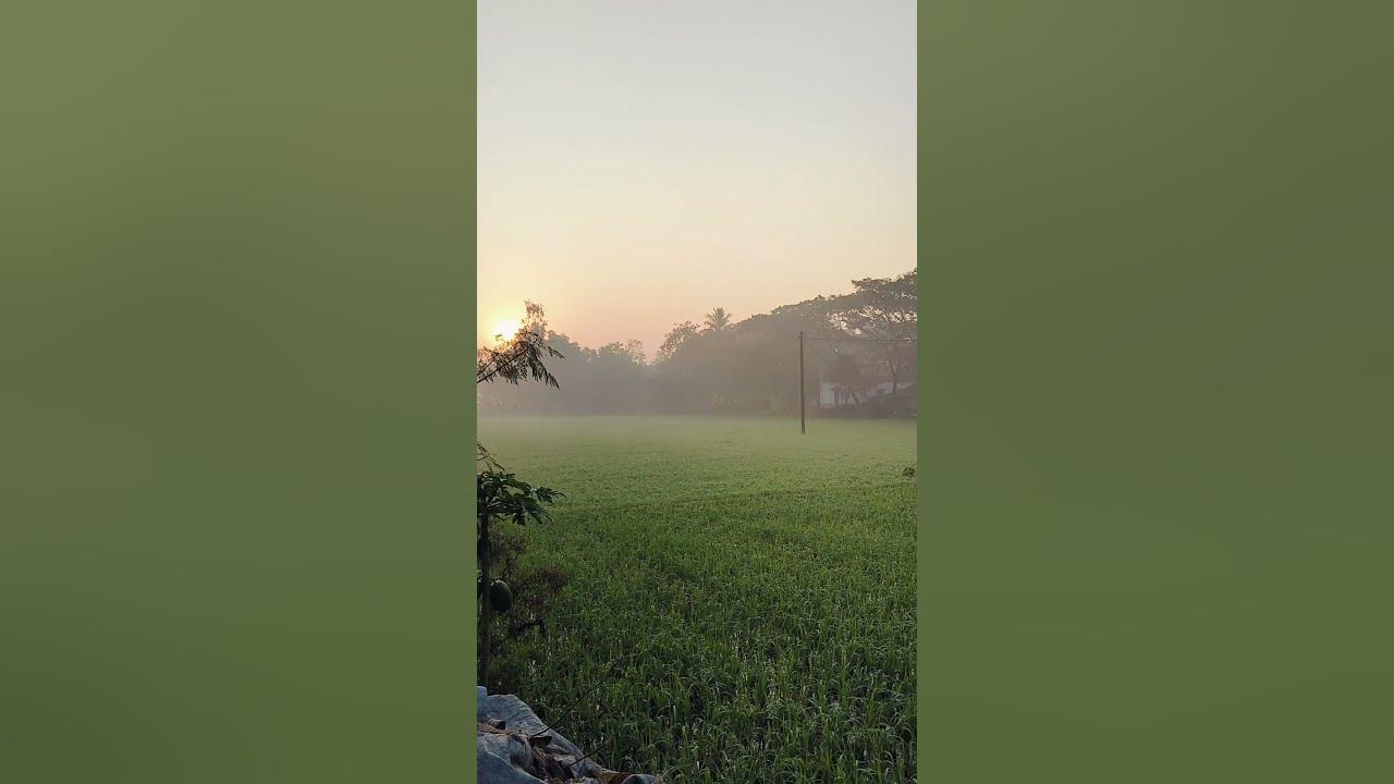 সকালের সূর্যোদয়ের কিছু মুহূর্ত - YouTube