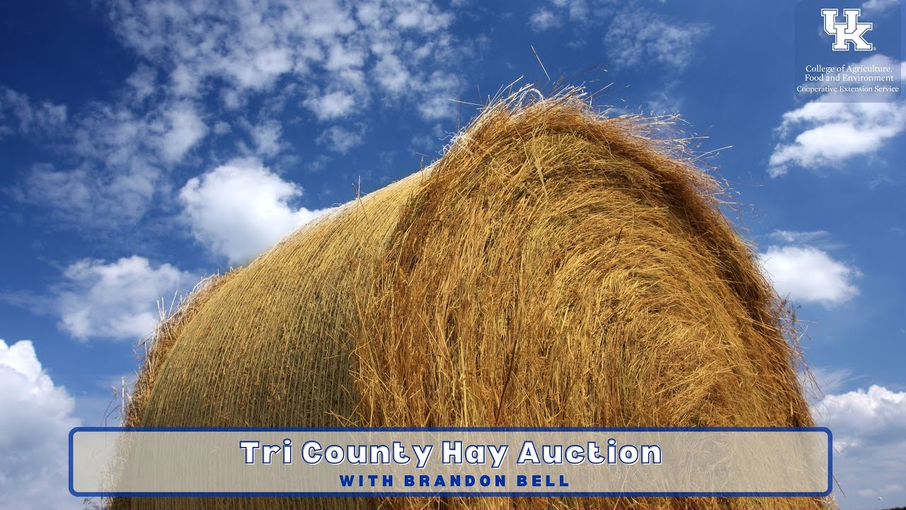 Tri County Hay Auction - YouTube