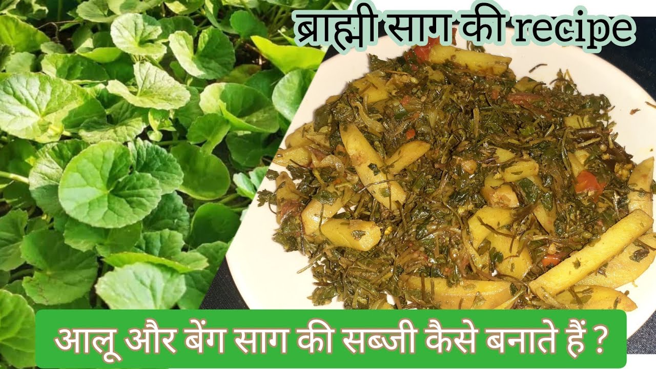 बेंग (ब्राह्मी) साग की सब्जी //beng saag recipe//औषधि गुणों से भरपूर ...
