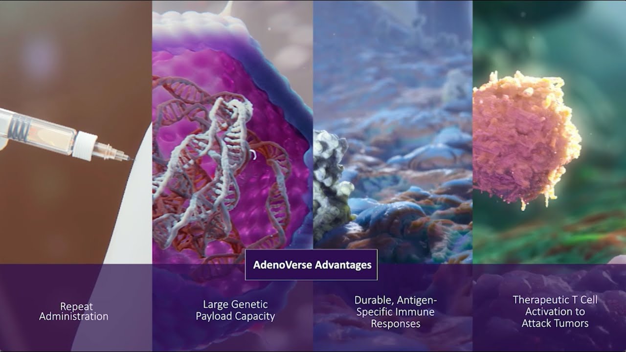 Precigen AdenoVerse®: Advancing Targeted AdenoVerse Immunotherapies ...