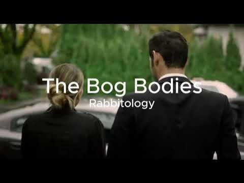 The Bog Bodies - Rabbitology (Lyrics) - YouTube