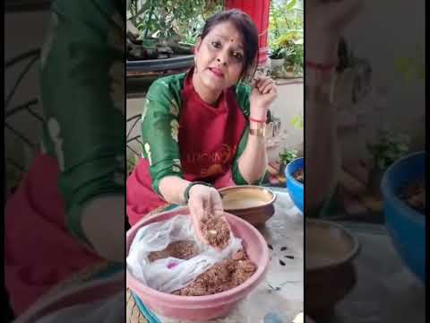 Ragini's garden and Bonsai's #Episode 10#bonsai kaise banaye#tips#details🌳🌿🍀🍀☘️☘️