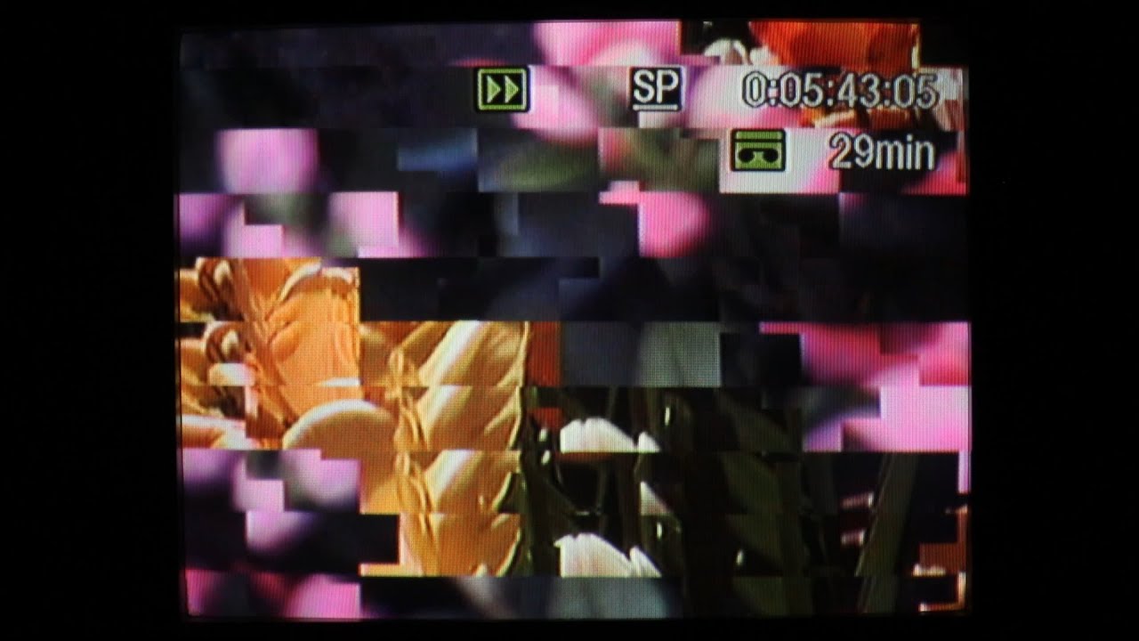 Eddie Alrick - Echoic Memory - YouTube