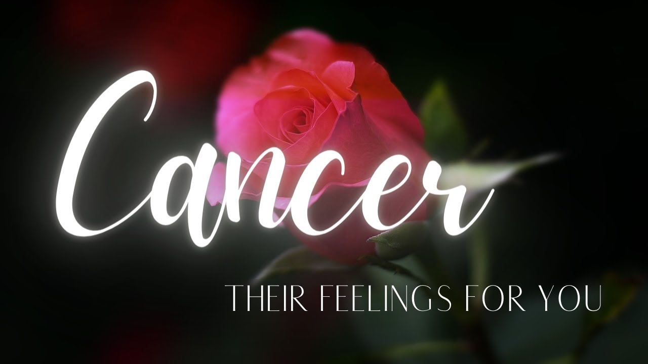 CANCER LOVE TODAY - THIS IS HOW THEY FEEL, AND THEIR TRUE INTENTIONS🌹 ...