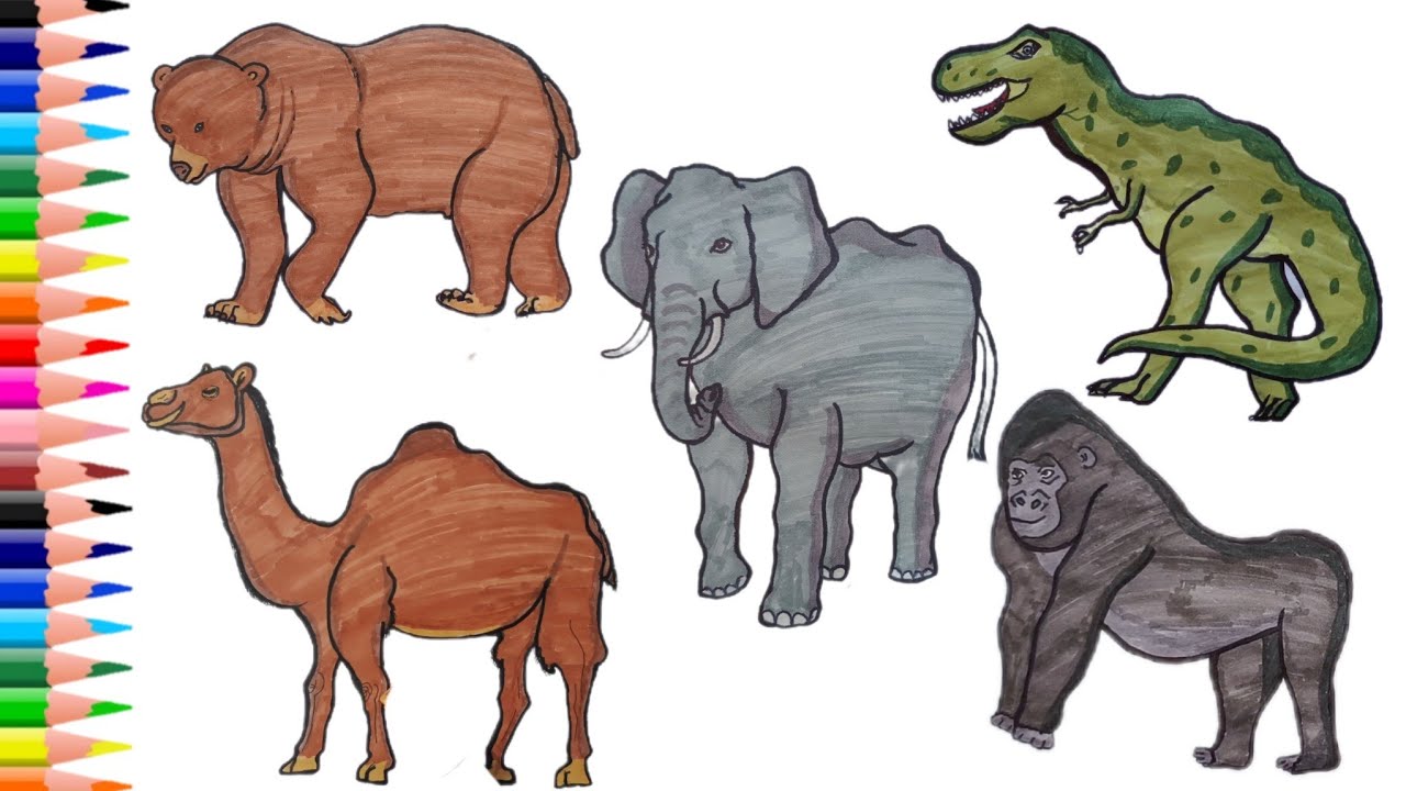 How to Draw Animals(Bear, Camel, Dinosaur, Elephant &Gorilla) #drawing ...