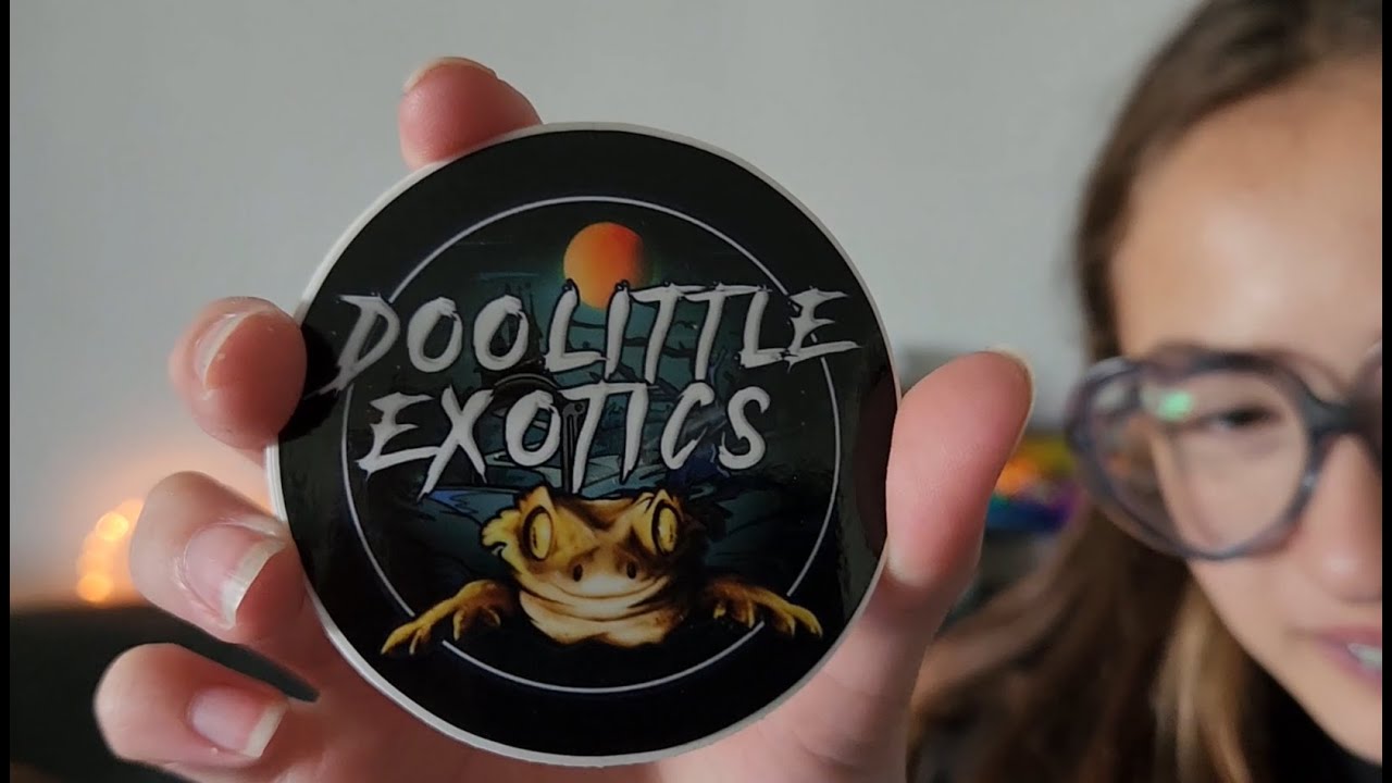 Bobo's first unboxing from Doolittle Exotic ! - YouTube