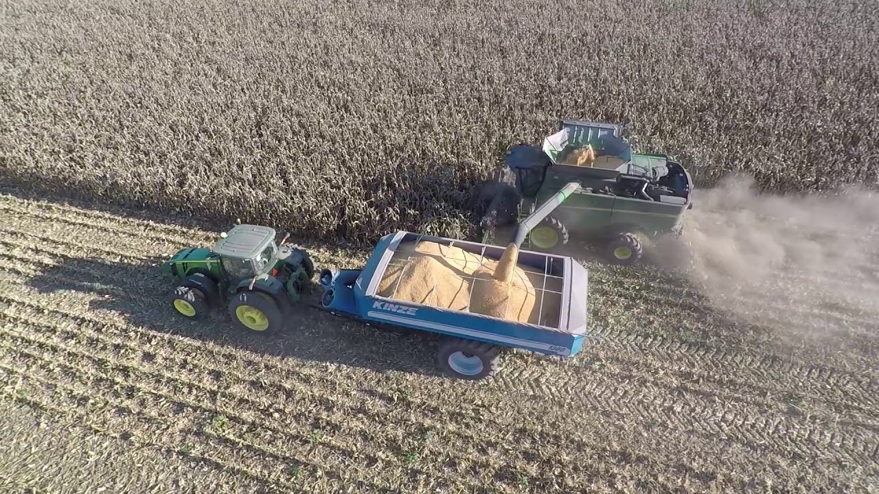 AAA Farms--Corn Harvest - YouTube