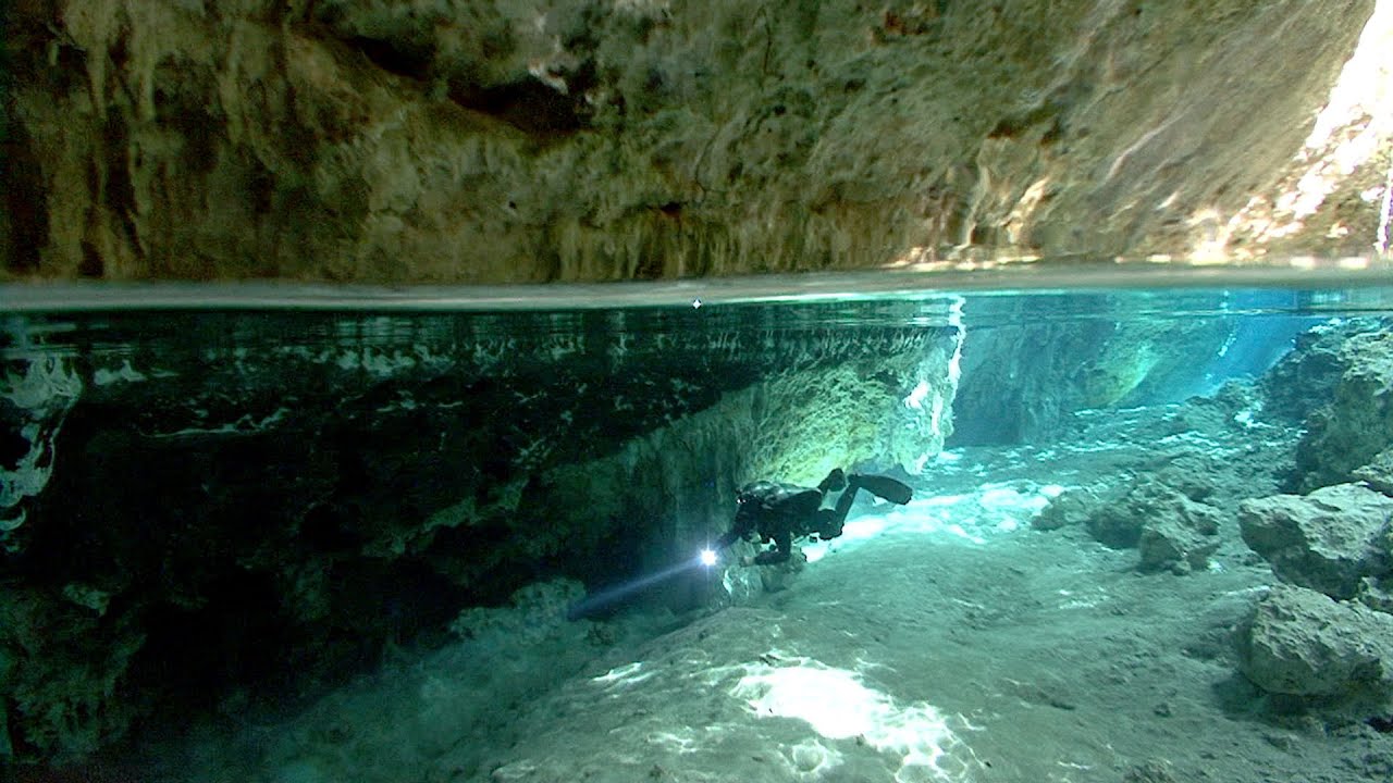 Underwater Cave Animals