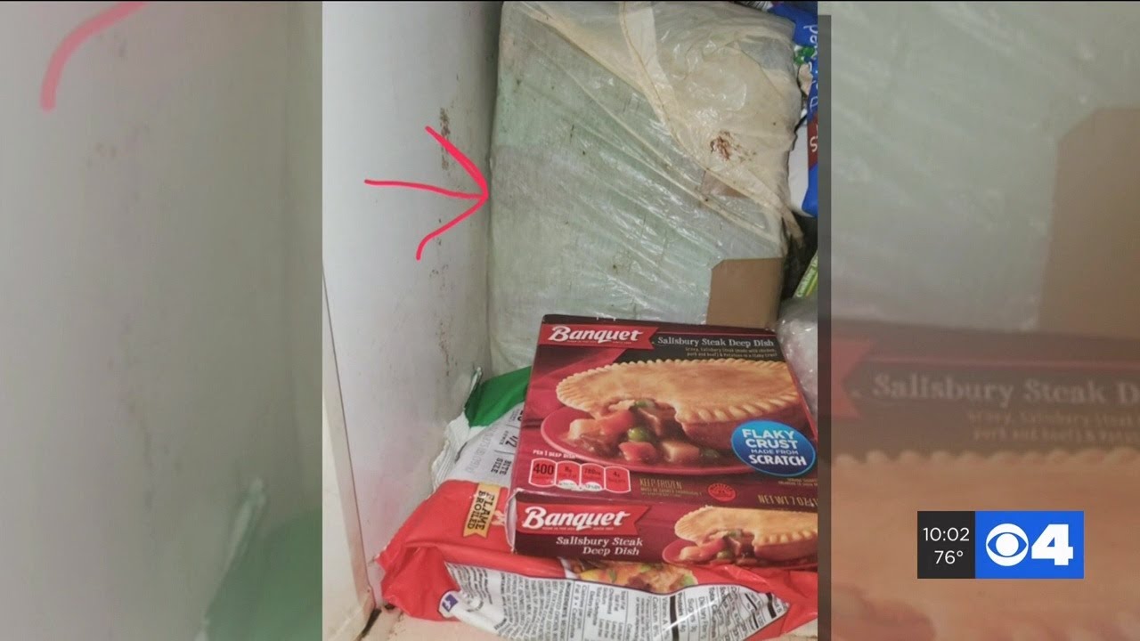 Man makes gruesome discovery in dead mother's freezer - YouTube